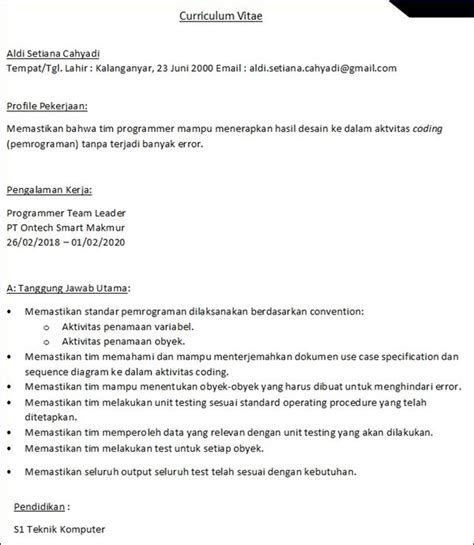 27 Contoh Cv Lamaran Kerja Kreatif Menarik Unik