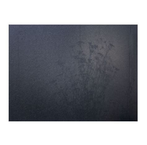 matteo placucci reflected nature considerations on the climate