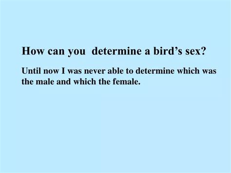 PPT Easy Method To Determine Bird S Sex Fun Challenge For Birdwatchers PowerPoint