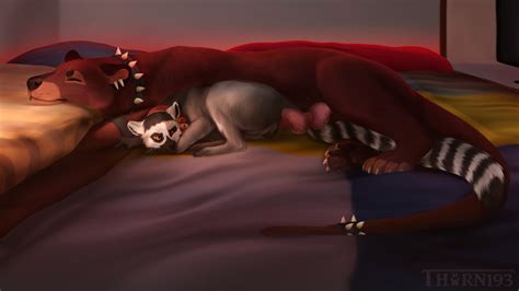 Rule 34 Anal Anal Sex Animal Genitalia Animal Penis Bed Collar Duo