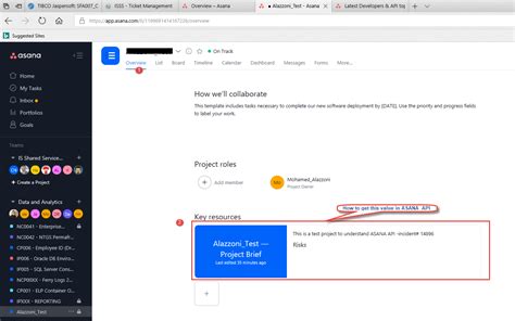 What Is Api Syntax To Get Project Overview Developers And Api