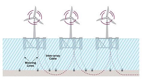 Insight Floating Offshore Wind And Marine Mammals Rps