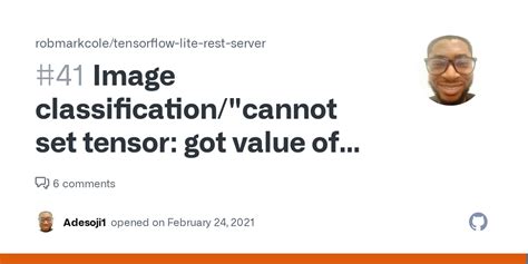 Image Classificationcannot Set Tensor Got Value Of Type Uint8 But Expected Type Float32 For