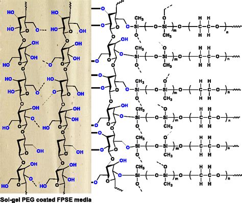 Figure 1 From Fabric Phase Sorptive Extraction Explained Semantic Scholar