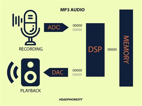 Digital Signal Processing DSP Audio Explained A Beginners Guide Headphonesty