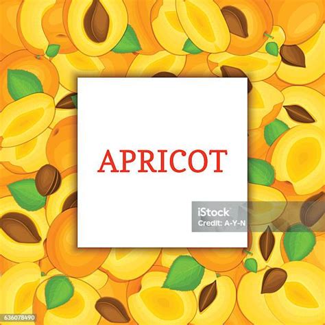 잘 익은 살구 배경의 사각형 프레임 벡터 카드 일러스트레이션 0명에 대한 스톡 벡터 아트 및 기타 이미지 0명 계절 과일 Istock