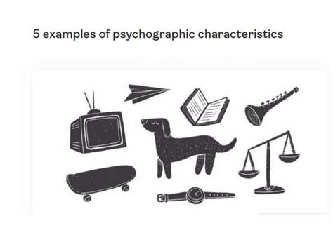 Psychographic Profile Of Indian Shoppers Pptx