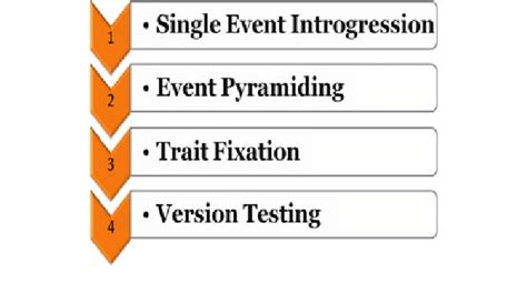 Four Steps Involved In Multiple Trait Integration Mti In Maize