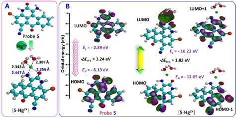 Ball And Stick Models A Of Energy Minimized Structures Of Probe 5 And