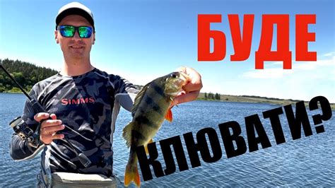 Як ловити в таку погоду Рибалка на окуня ФАЙНА РИБАЛКА І НАЗАР ГАРМАТЮК Youtube