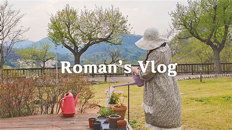Vlog 집 꾸미는 집순이의 봄날 브이로그🌸 셀프페인팅 가드닝 플랜테리어 조인폴리아 식물쇼핑 빈티지 인테리어 뷰맛집 전원주택 셀프인테리어 다이소 바질