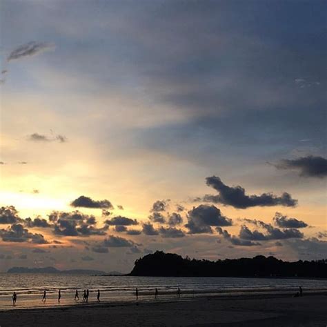 Pin Auf Amsel E V Instagram