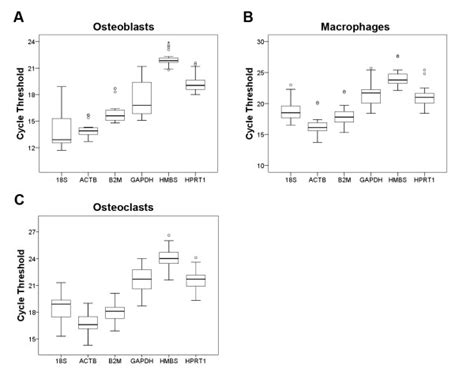 Distribution Of Qpcr Cycle Threshold Values For The Candidate Reference