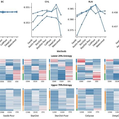 During The Assessment Of Average Entropy We Also Assessed Segmentation Download Scientific