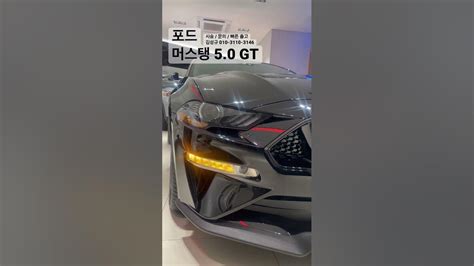포드and링컨머스탱머스탱gt머스탱50에코부스트슈퍼카차쟁이포드포드김성규 Youtube
