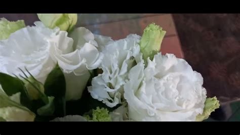 리시안셔스화이트 생화 꽃집 꽃집창업 꽃값 온라인꽃시장 온라인꽃도매 인터넷꽃시장 인터넷꽃도매 서울꽃시장 꽃농장 꽃배송 생화배송