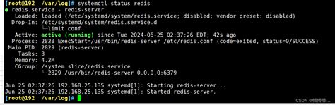 redis 启动方式 redis systemctl csdn博客