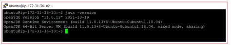 How To Install Java On AWS EC Virtual Machine From PuTTY Java Coding