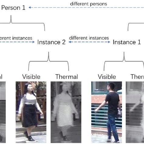 Relationship Between Person Level Granularity And Instance Level Download Scientific Diagram