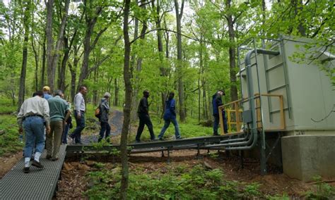 Home Nsf Neon Open Data To Understand Our Ecosystems