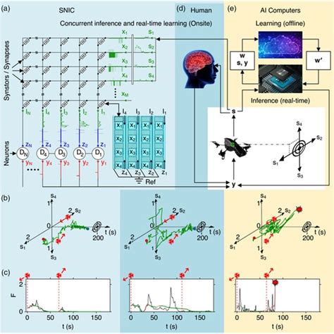 Real‐time Learning By An Snic And Humans Versus Offline Learning By Download Scientific Diagram