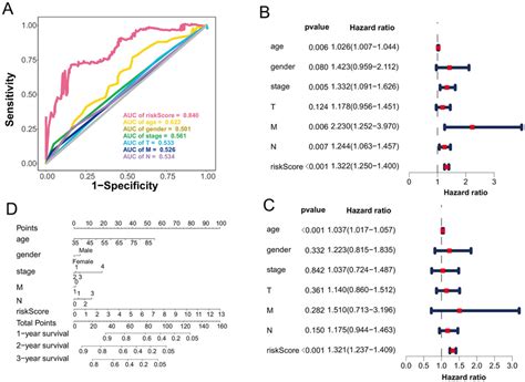 Identified The Clinical Value Of Risk Score A The Auc Value Of Risk Download Scientific