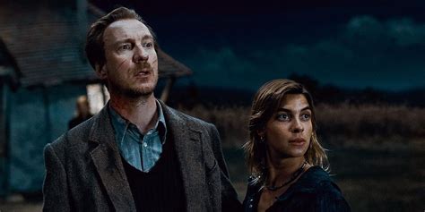 Harry Potter How Did Lupin Get His Scars