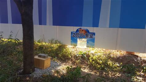 꿈꾸는 Genie 내 사랑 담이랑 이별의 시간이 다가온다 널 보내야 하겠지 담이 이야기