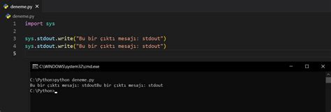 modüller sys platform cyberworm