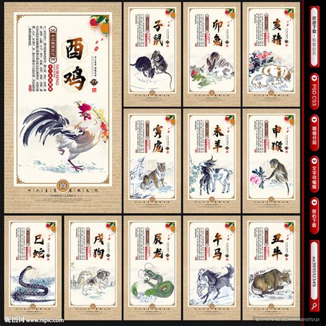 12生肖设计图广告设计广告设计设计图库昵图网