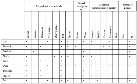 The Effects Of Implementing The Strategy Of Semantic Feature Analysis