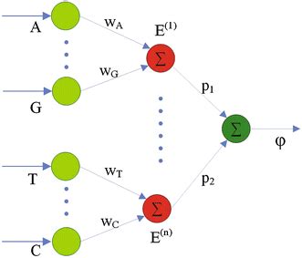 Neural Network Like Implementation Download Scientific Diagram