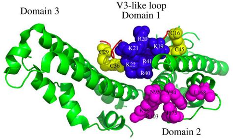Three Dimensional Location Of Heparin Binding Motif In Relation To