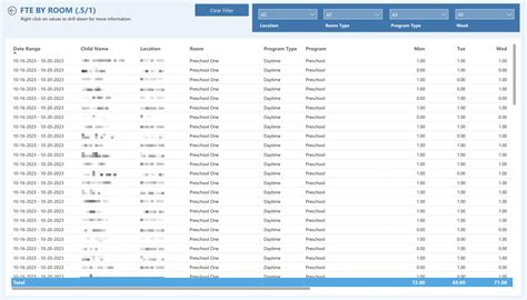 power bi fte and capacity report