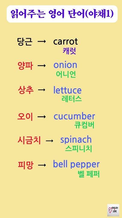 야채 관련 영어 단어1 Youtube