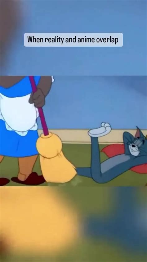 ویدیو دیدنی تام و جری در دنیای واقعی