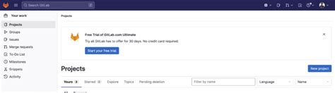 Build Cicd Pipeline Using Gitlab For Salesforce Apex Hours