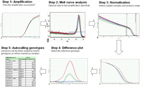 Real Time Pcr 노트 [qpcr Tip] Hrm High Resolution Melting 2
