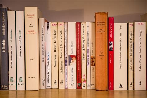 French Literature For Language Enthusiasts 10 Books For Every