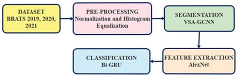vsa gcnn attention guided graph neural networks for brain tumor