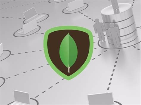 mongodb 3 2 fundamentals for developers stacksocial