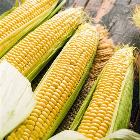 Wilko Sweetcorn Swift Plug Plants 12 Pack Wilko