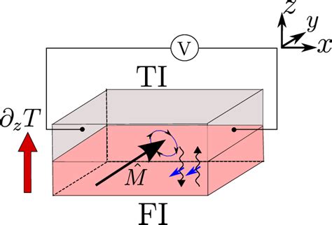 Schematic Illustration Of The Spin Seebeck Effect In A Download Scientific Diagram
