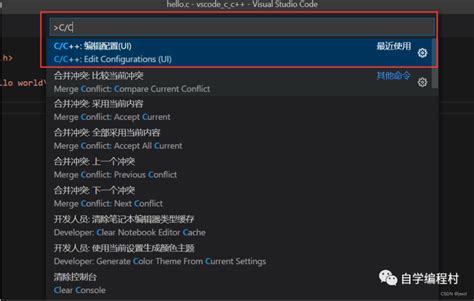 重新更新vscode配置（cc）——负责任、手把手教学，亲测有效怎么更新vscode Csdn博客