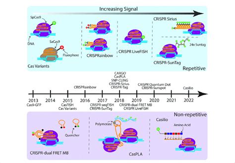 A Timeline Of Crispr Based Imaging Techniques Above The Timeline
