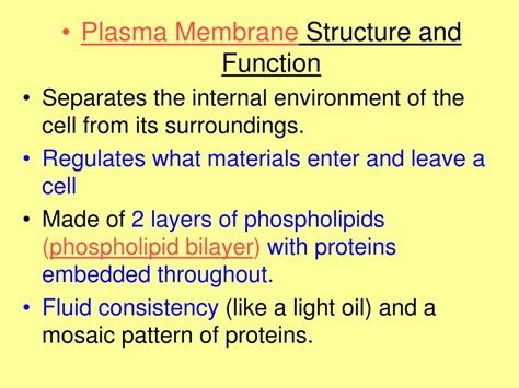 Ppt Plasma Membrane Structure And Function Powerpoint Presentation