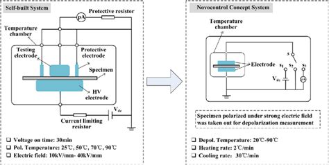 Schematic Diagram Of Experimental Setup And Conditions A Polarization Download Scientific