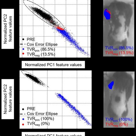 Automated Classification Of Tvr Using A Confidence Covariance Ellipse