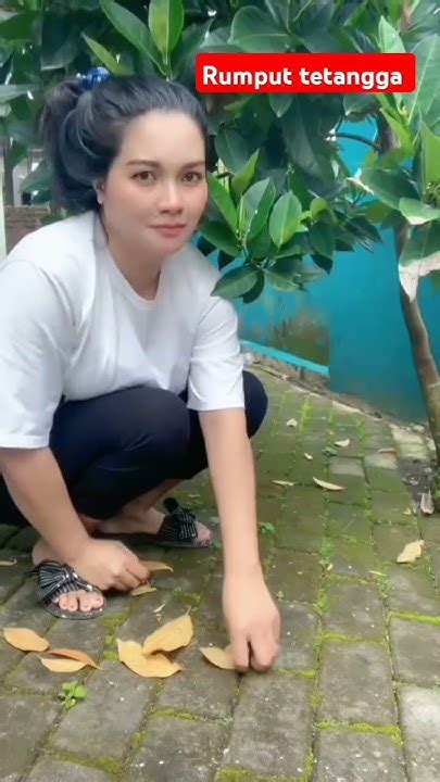 Rumput tetangga #lucu #funny #komedi - YouTube